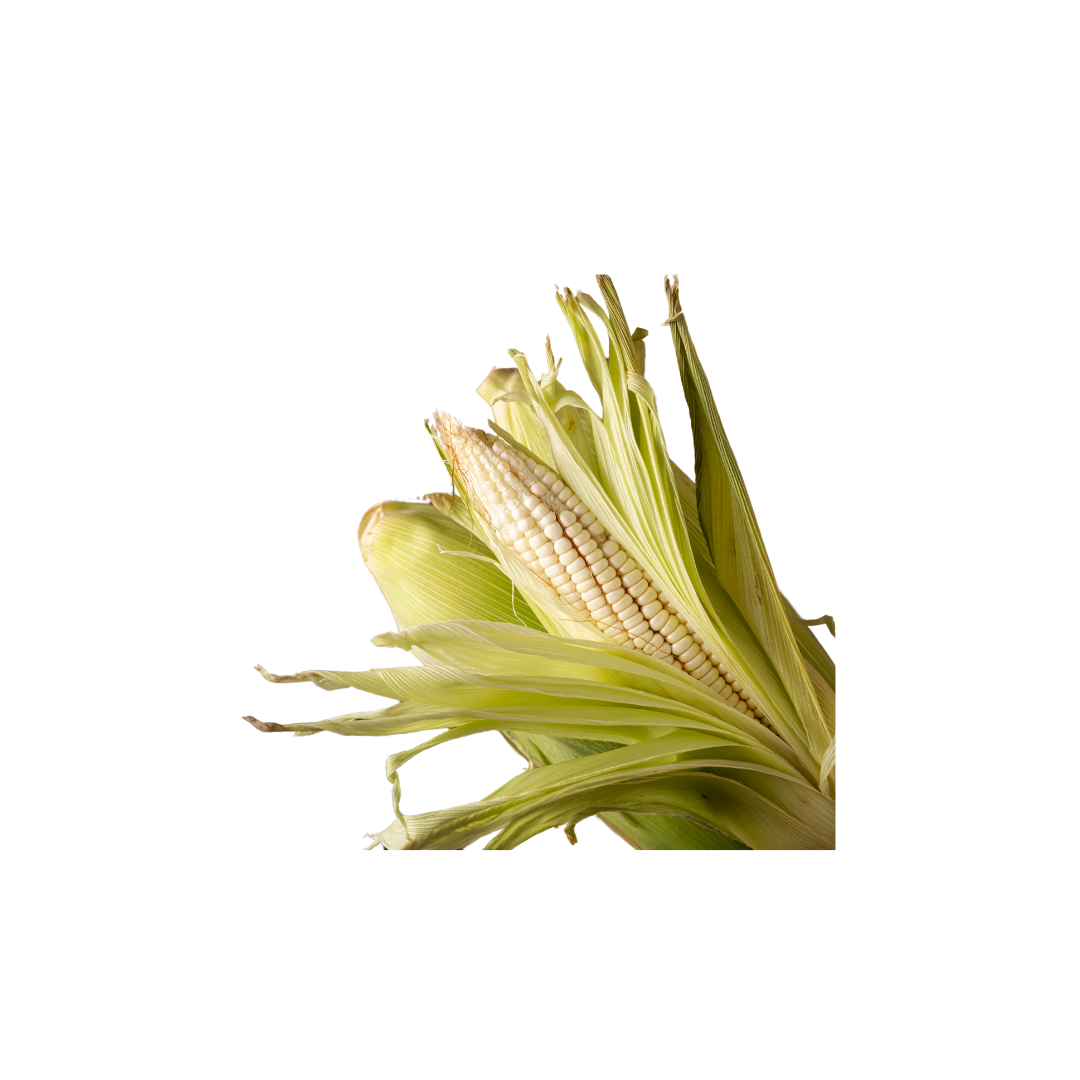 White Maize Fresh - 1kg – Fresh Africa